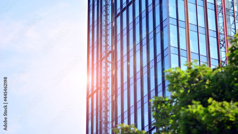 Eco architecture. Green tree and glass office building. The harmony of ...