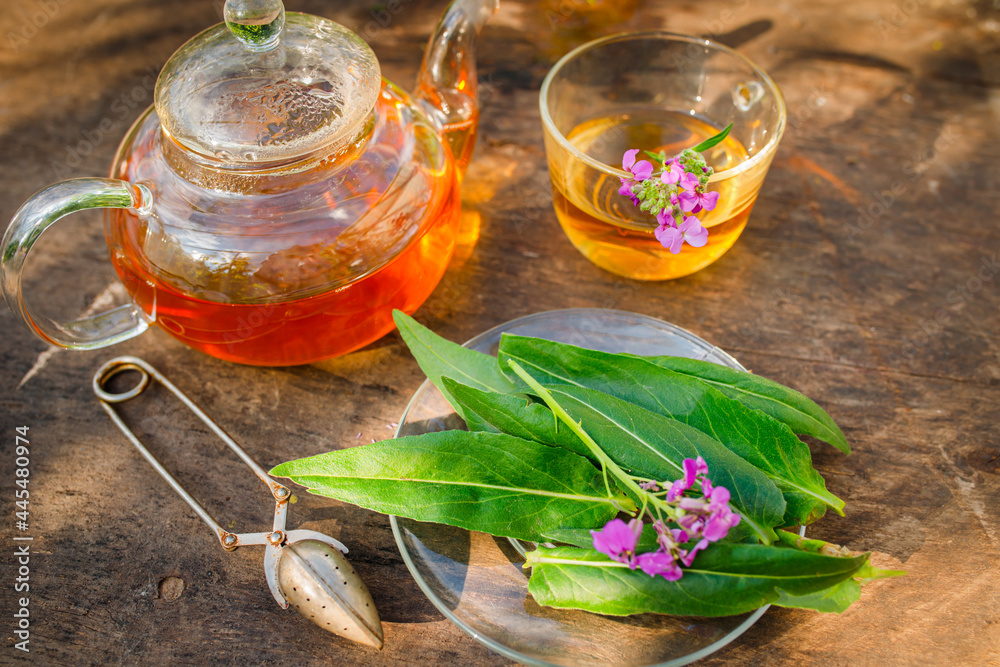 cup of herbal tea with fresh leaves and flowers Matthiola incana ...