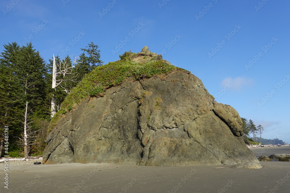 Second Beach. There are tide pools teeming with life everywhere, and ...