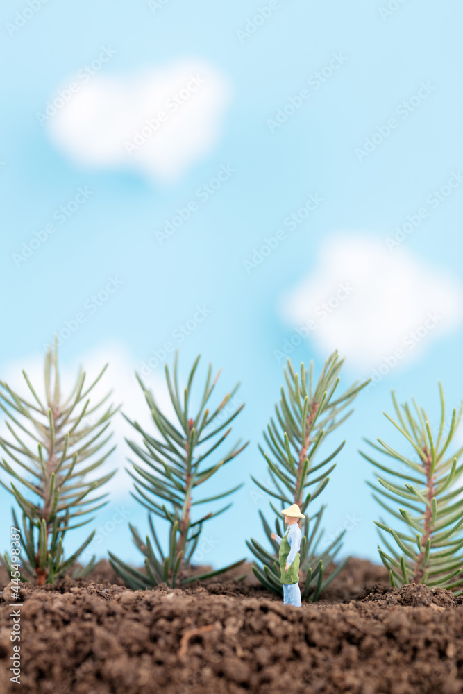 The hard-working farmer and the newly planted sapling Stock Photo ...