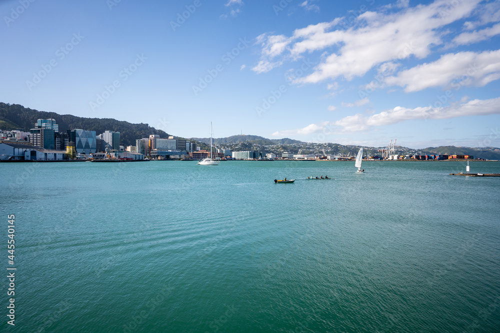 Bird's eye view of the sea and buildings in Wellington, New Zealand ...
