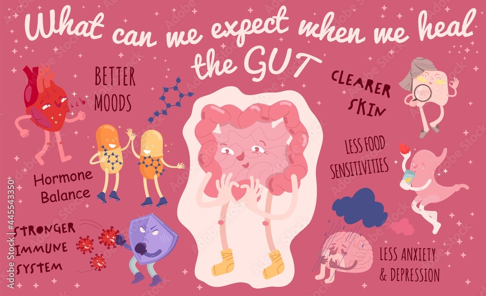 Why gut health matters. Landscape poster. Medical infographic. Stock ...