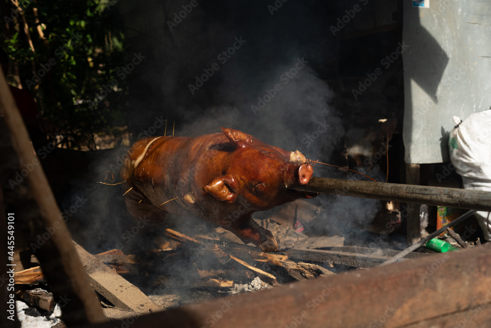Grilled Pig Roasted on a Traditional Coal and Fire Stock Photo | Adobe ...