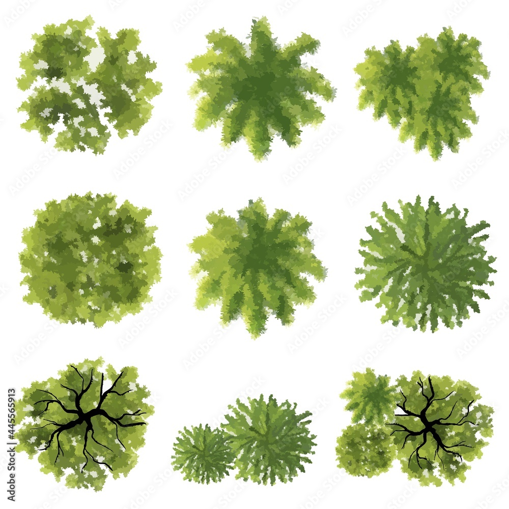 Vector tree top view isolated on white background for landscape plan ...