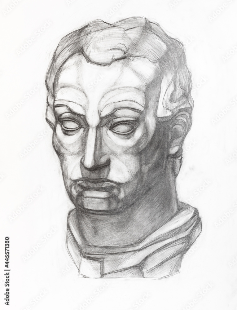 sketch of Gattamelata head drawn by pencil Stock Illustration | Adobe Stock