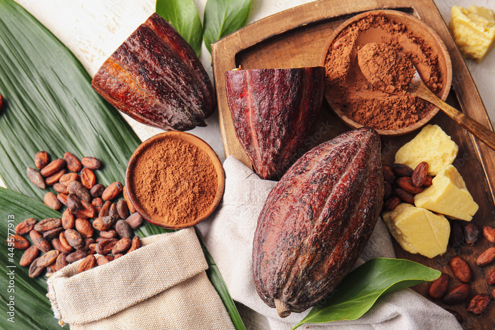 Composition with fresh cocoa fruits, beans, powder and butter on light ...