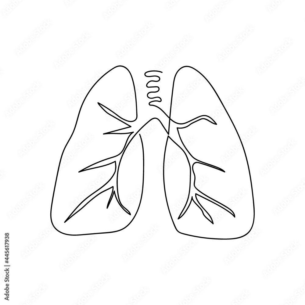 Lungs one line art. Continuous line drawing of human, internal, organs ...