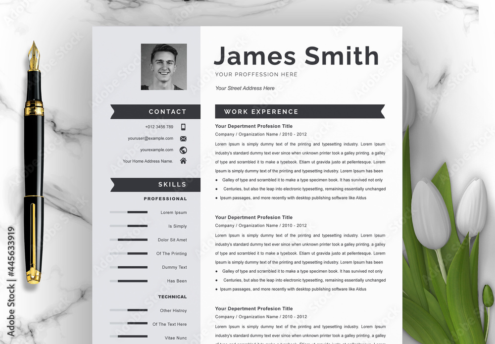Professional Resume Layout Stock Template | Adobe Stock