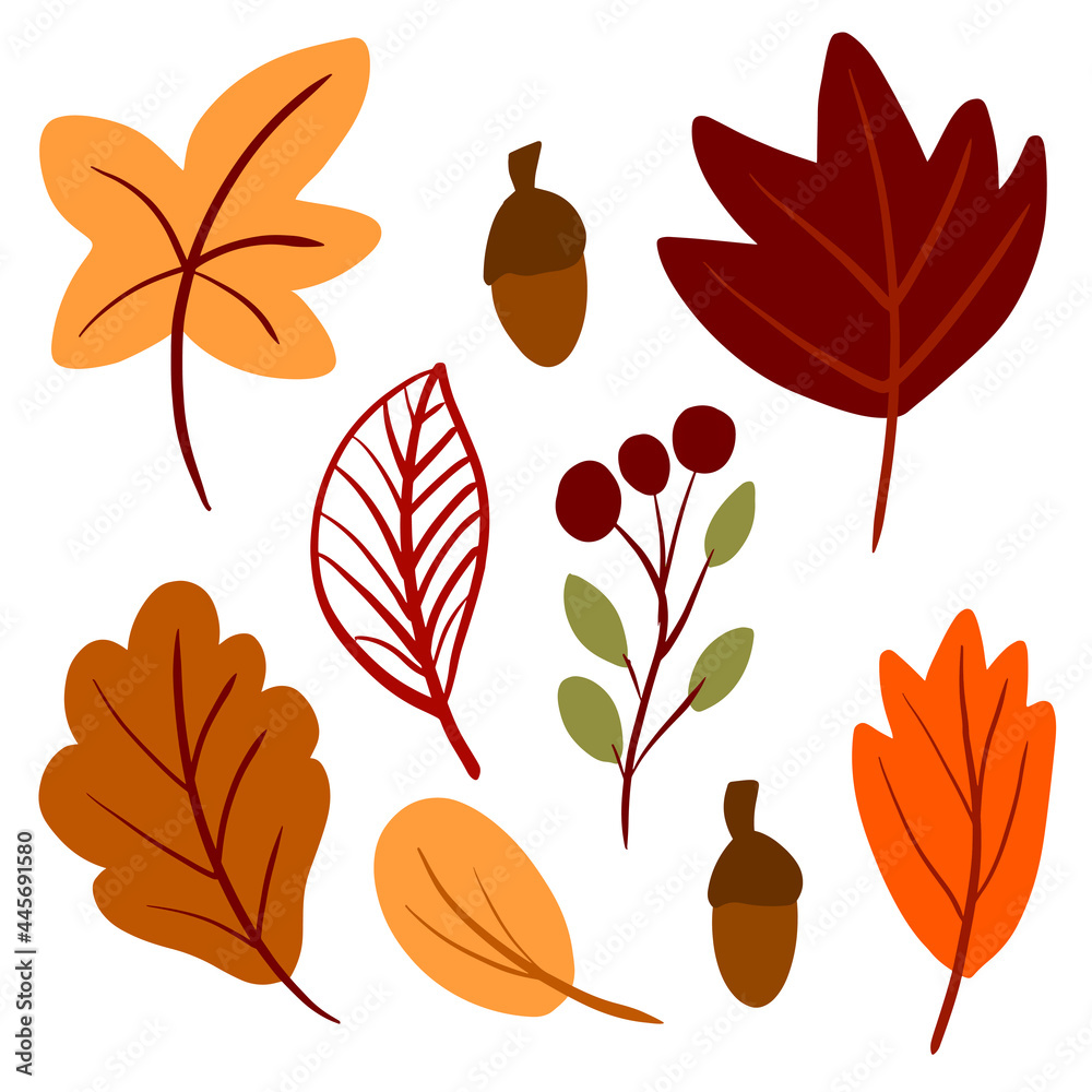Autumn leaves hand drawn set in simple childish scandinavian style ...