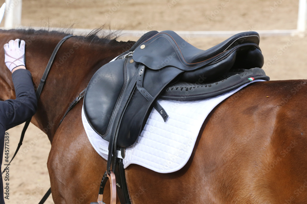 On the back of the horse, a brown leather saddle Photos | Adobe Stock