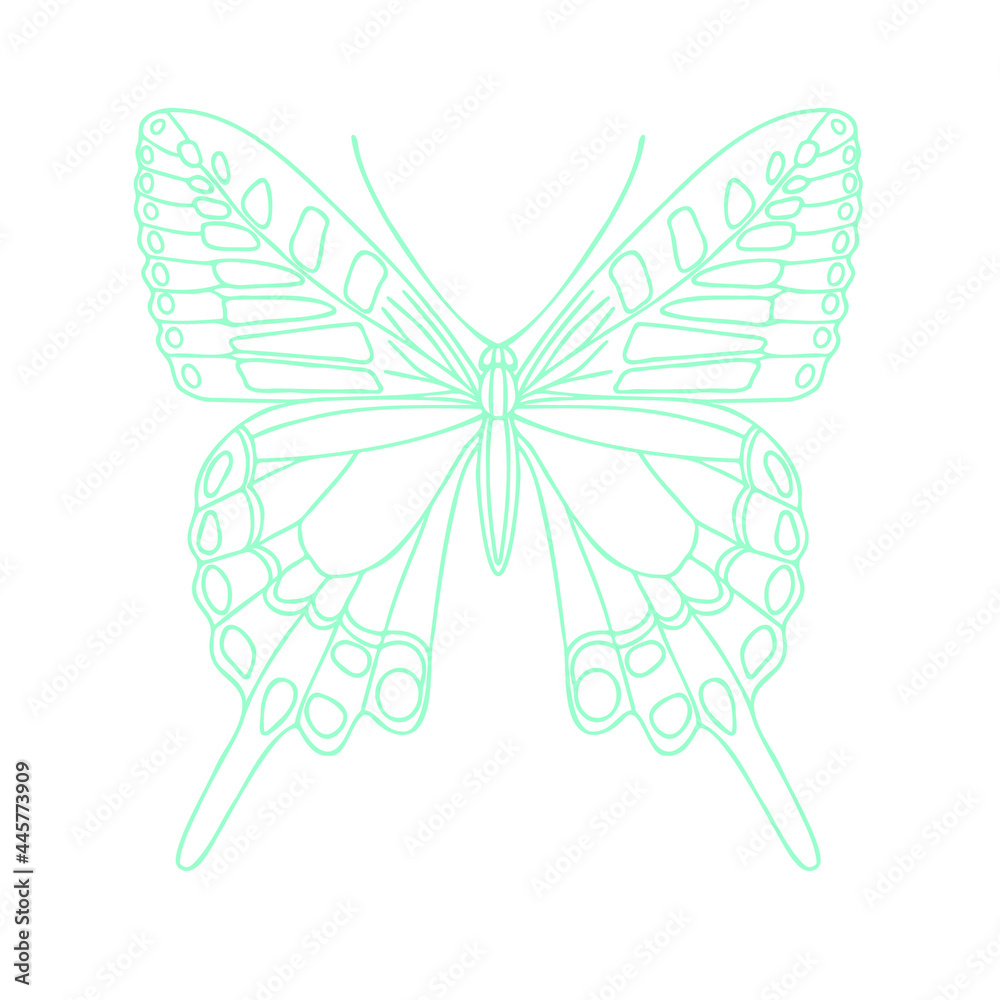 Butterfly contour vector drawing. Insect butterfly coloring book. Stock ...