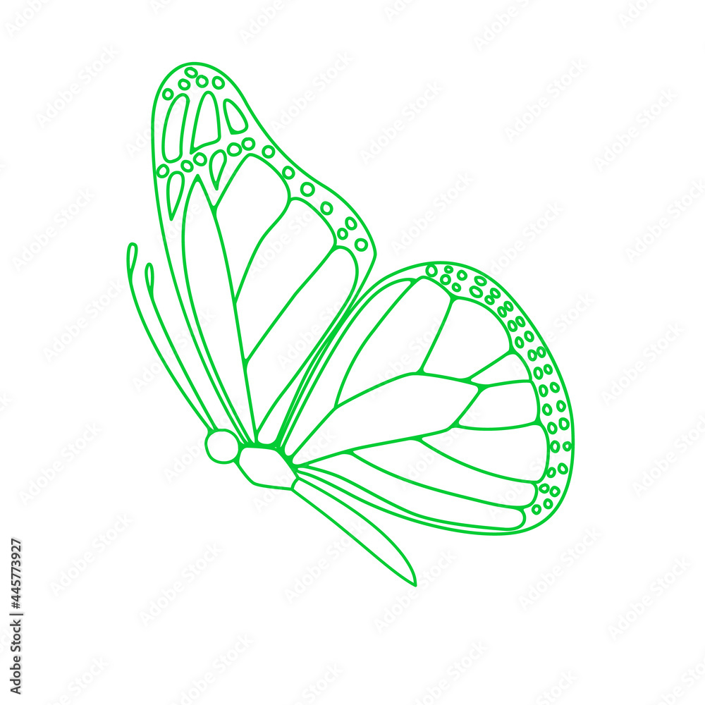 Butterfly contour vector drawing. Insect butterfly coloring book. Stock ...