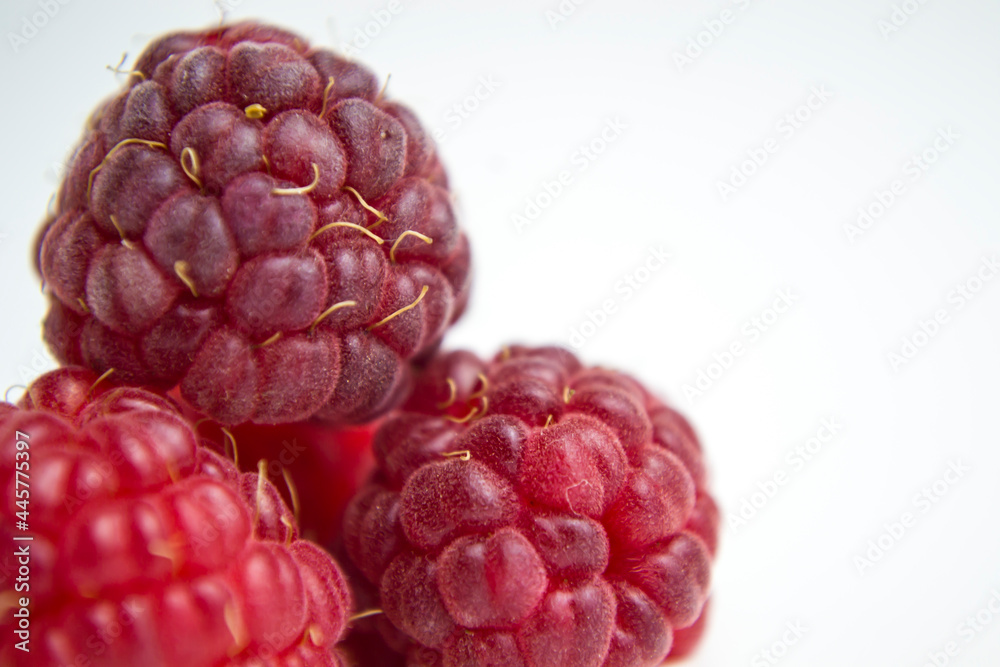 The raspberry,edible fruit of a multitude of plant species in the genus ...
