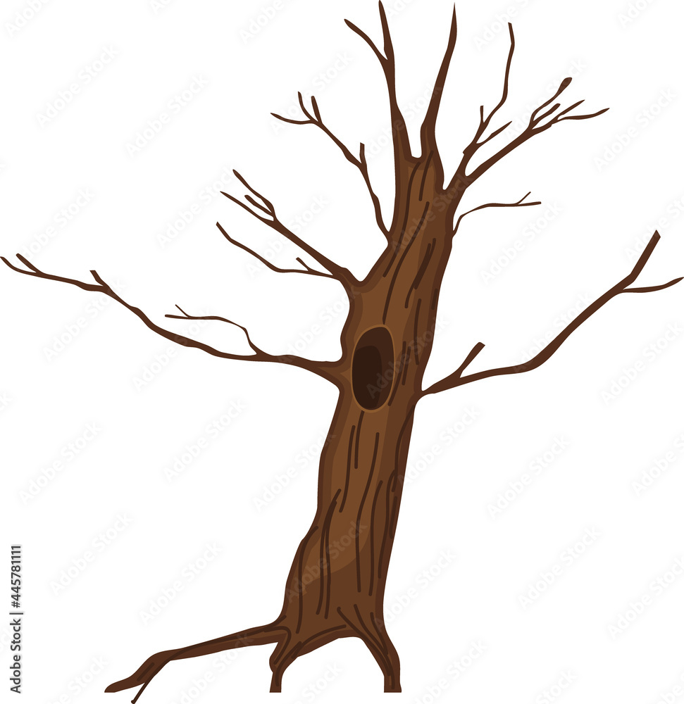 Cartoon dry tree with hollow isolated on white background Stock Vector ...