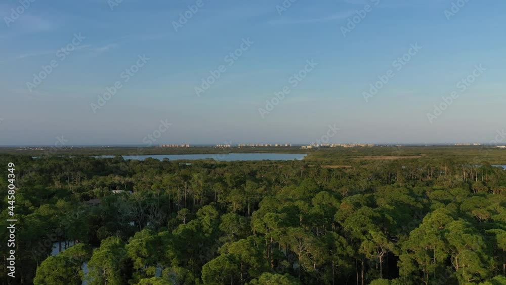 Pan down aerial starting above the tree tops with a Ponce Inlet ...