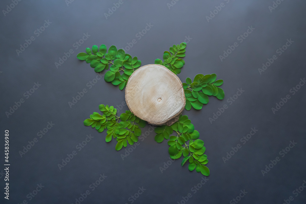 black paper background with Moringa leaves (Drumstick tree) and wood ...