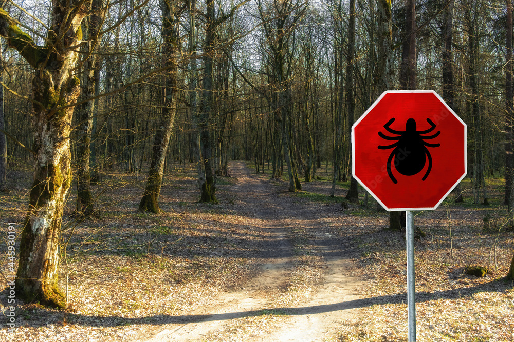Warning sign beware of ticks in nature forest, infested area ...