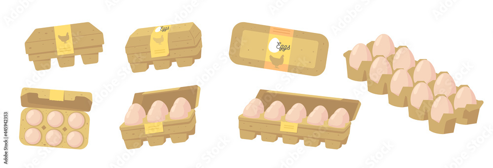 Set of Eggs in Carton Closed and Open Boxes, Farmer Production, Organic ...