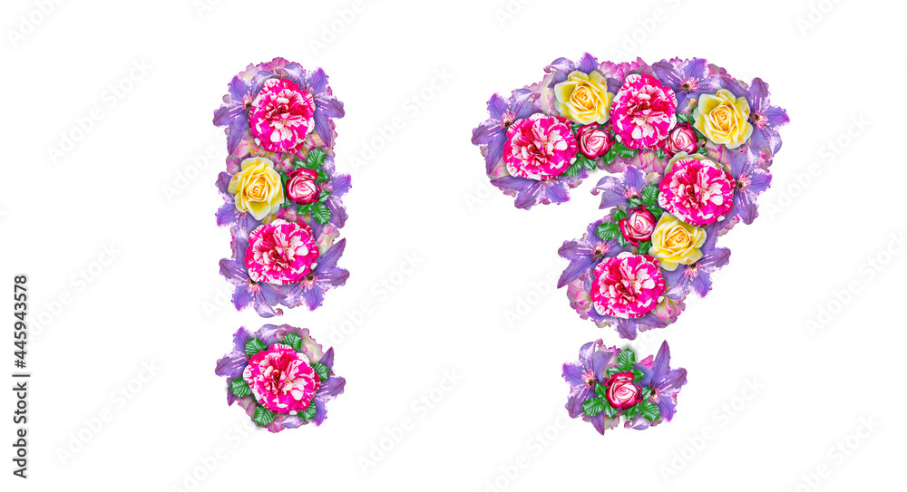 The question mark and exclamation mark are made from a bouquet of roses ...