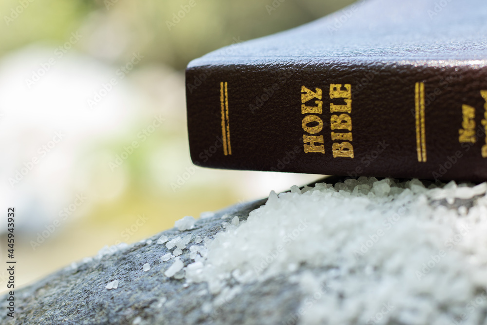 Salt of the earth. Gospel of Matthew, God Jesus Christ Sermon on the ...