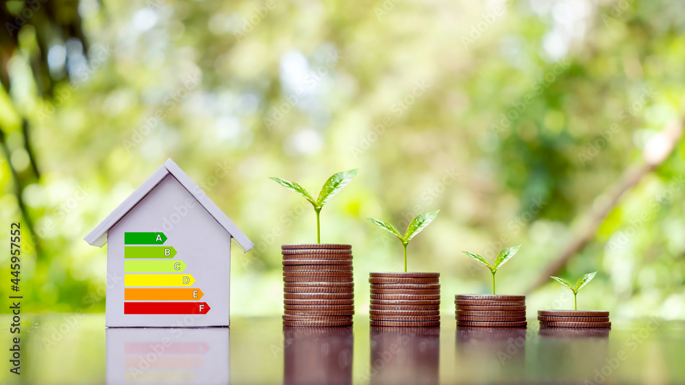 Trees grow on piles of money and energy-saving charts on home models in ...