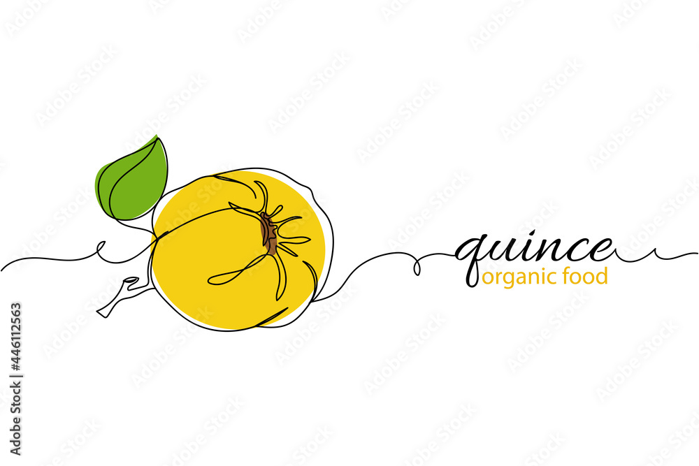 Continuous one line of quince with leaf organic food in silhouette on a ...