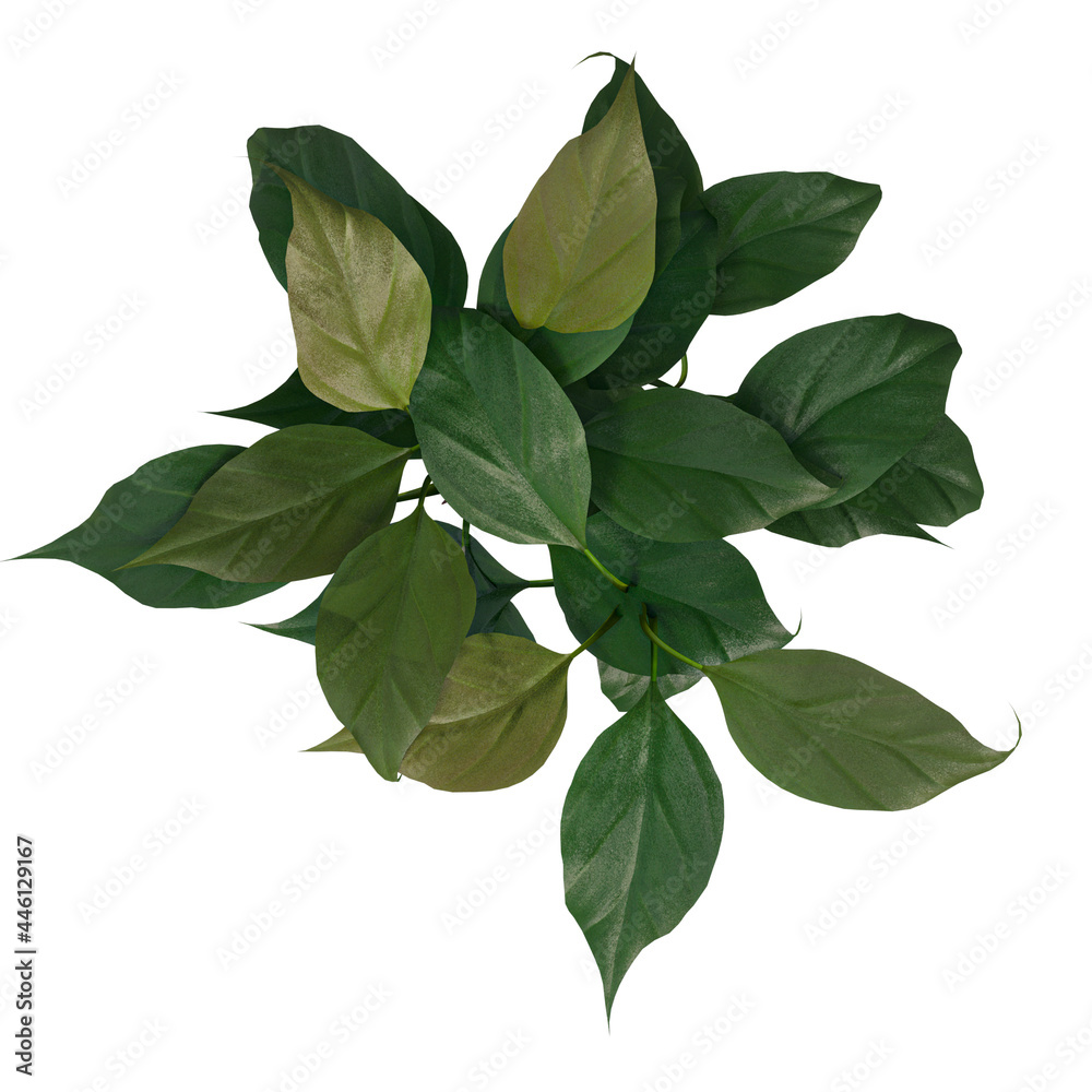 VEGETATION TOP VIEW - TREES AND BUSHES IN PLAN Stock Illustration ...