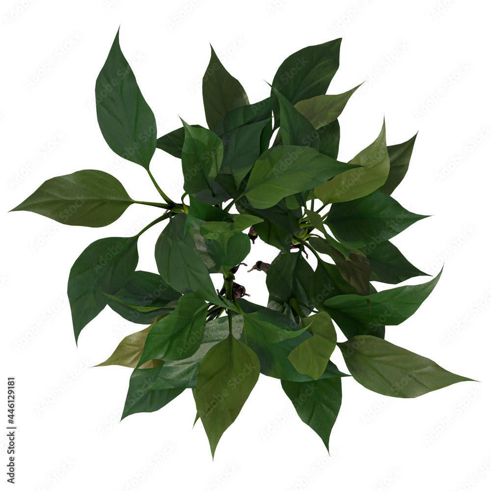 VEGETATION TOP VIEW - TREES AND BUSHES IN PLAN Stock Illustration ...