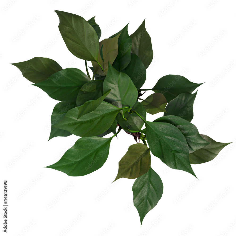 VEGETATION TOP VIEW - TREES AND BUSHES IN PLAN Stock Illustration ...