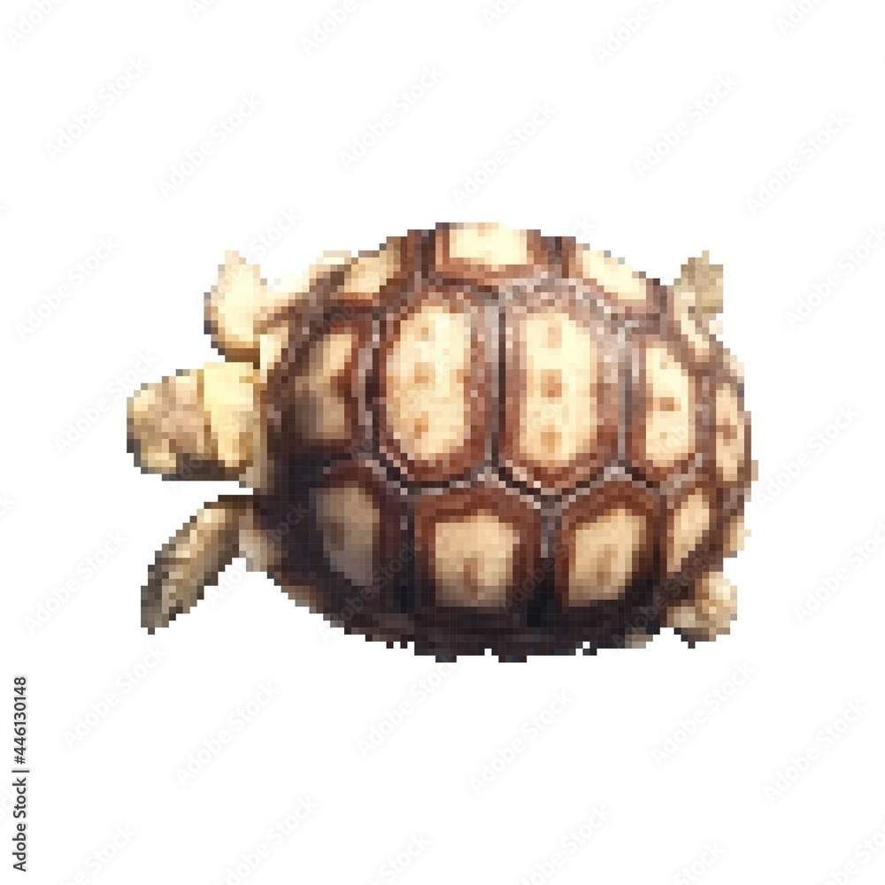 Vetor de Desert turtle pixel art. Vector picture. Desert baby turtle ...
