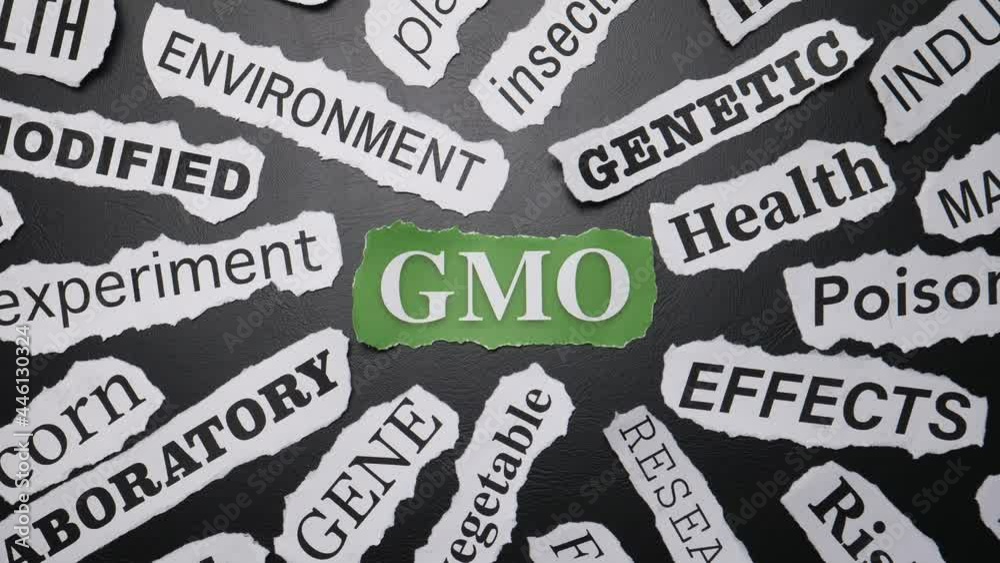 GMO Word Cloud Animation Loop Genetically Modified Organisms Stock 비디오 ...