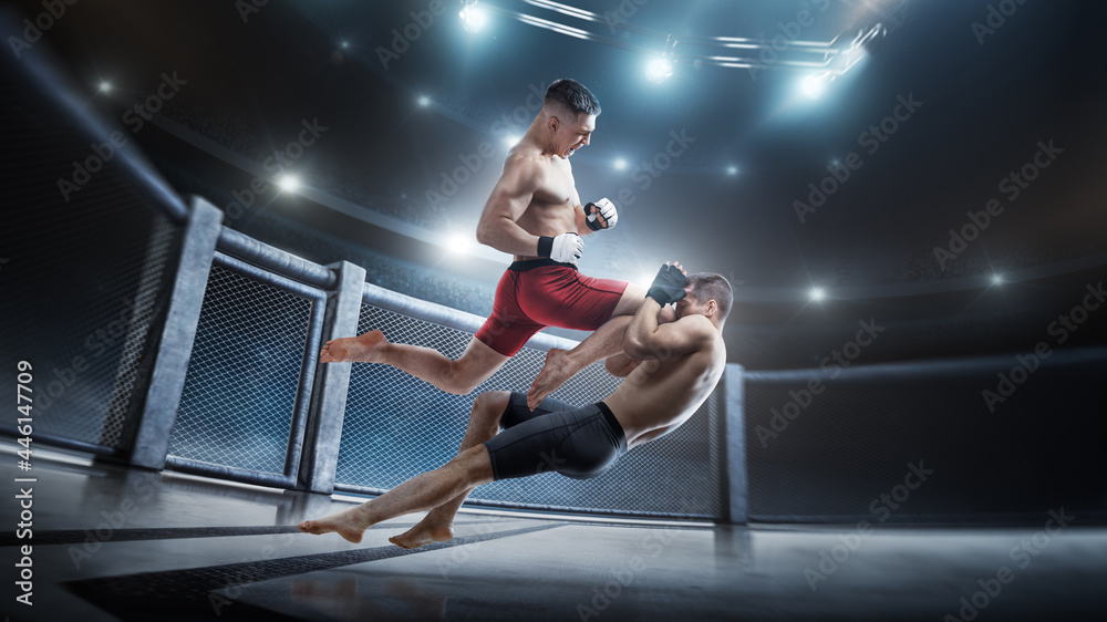 MMA cage. Knee kick to the head. Two fighters are fighting in the ...