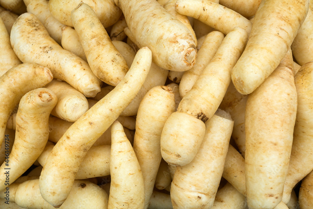 Arracacha in the traditional Colombian market - Arracacia xanthorrhiza ...