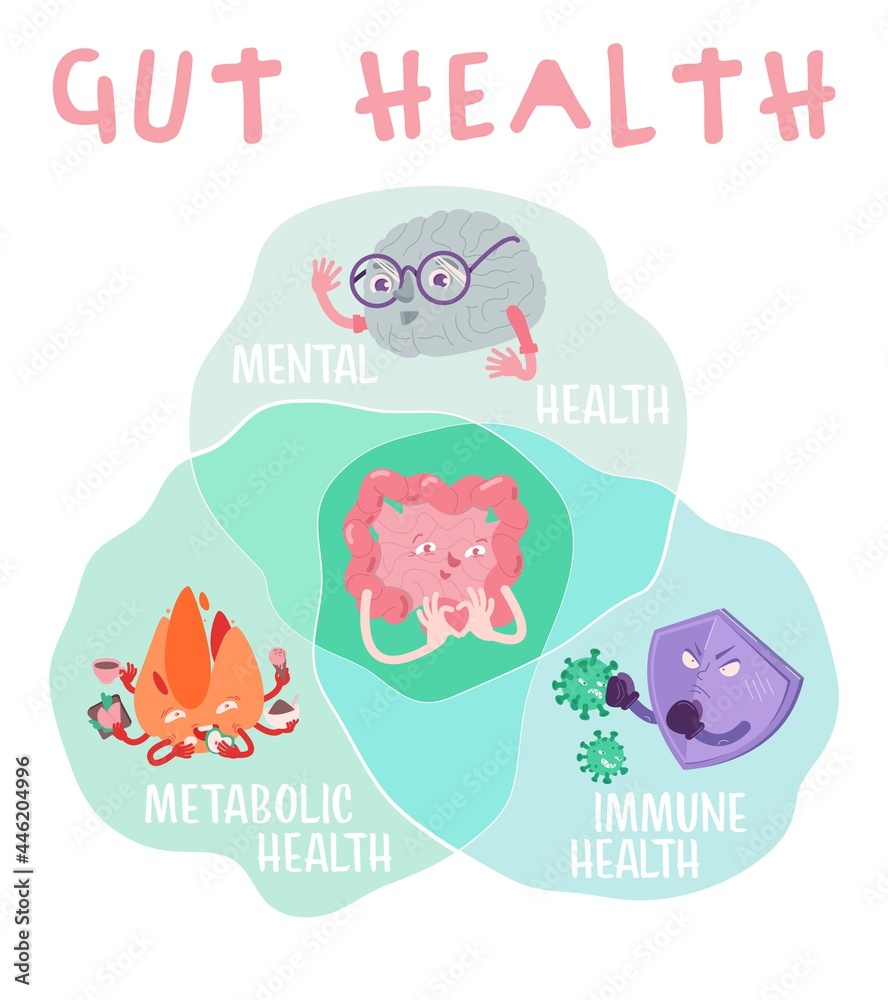 Why gut health matters. Vertical poster. Medical infographic. Stock ...