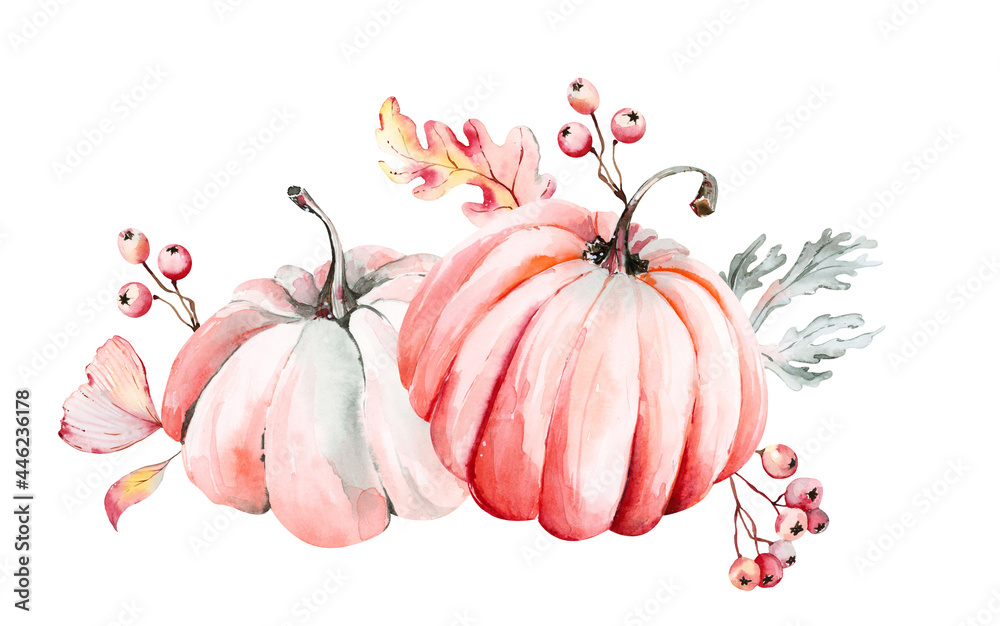 Watercolor fall pumpkin harvest clipart. Thanksgiving pumpkin ...