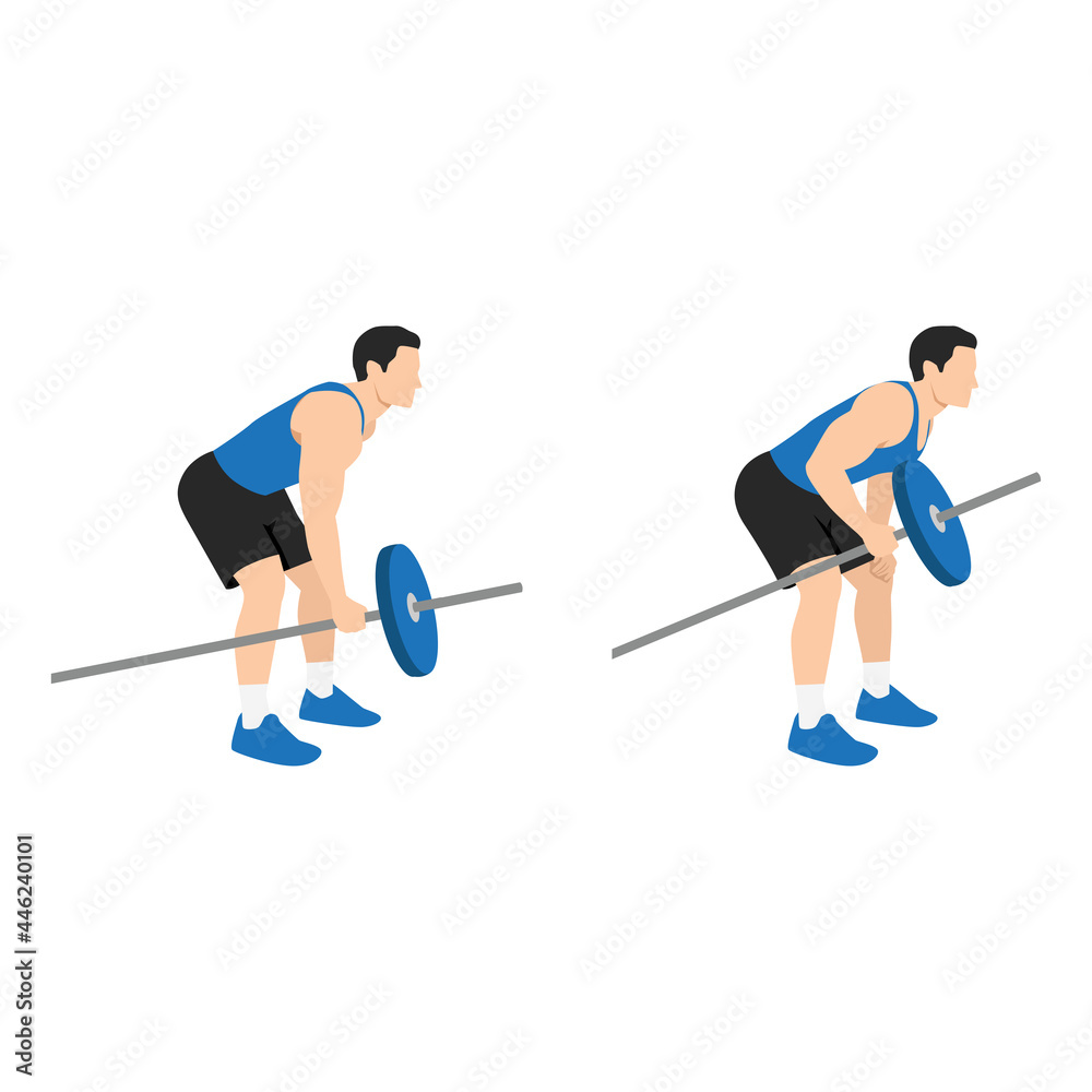 Man doing One arm barbell rows exercise. Flat vector illustration ...