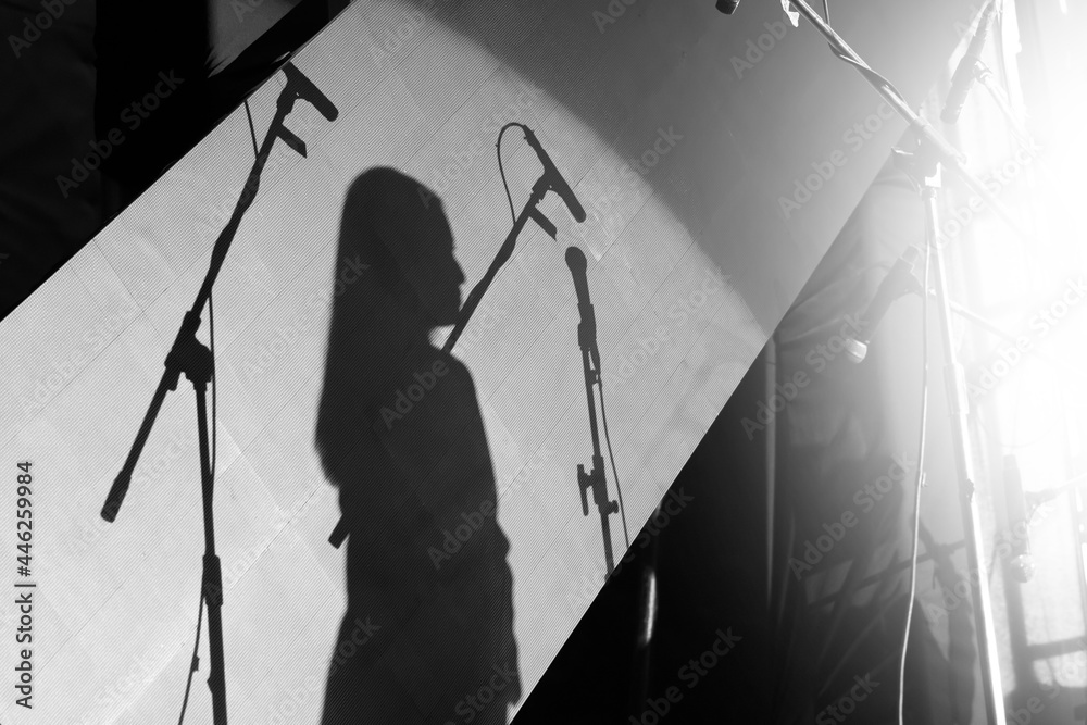 Silhouette of a female moderator or presenter and a professional speech ...