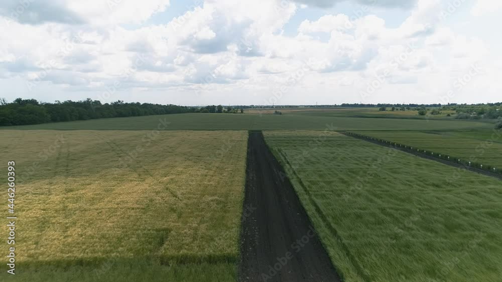 scenic aerial view of the flat lined fields of agricultural farmland ...