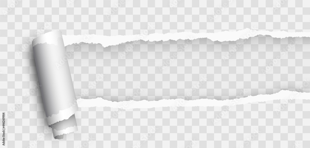 Realistic blank curled tear paper. Torn paper edge. Realistic torn ...