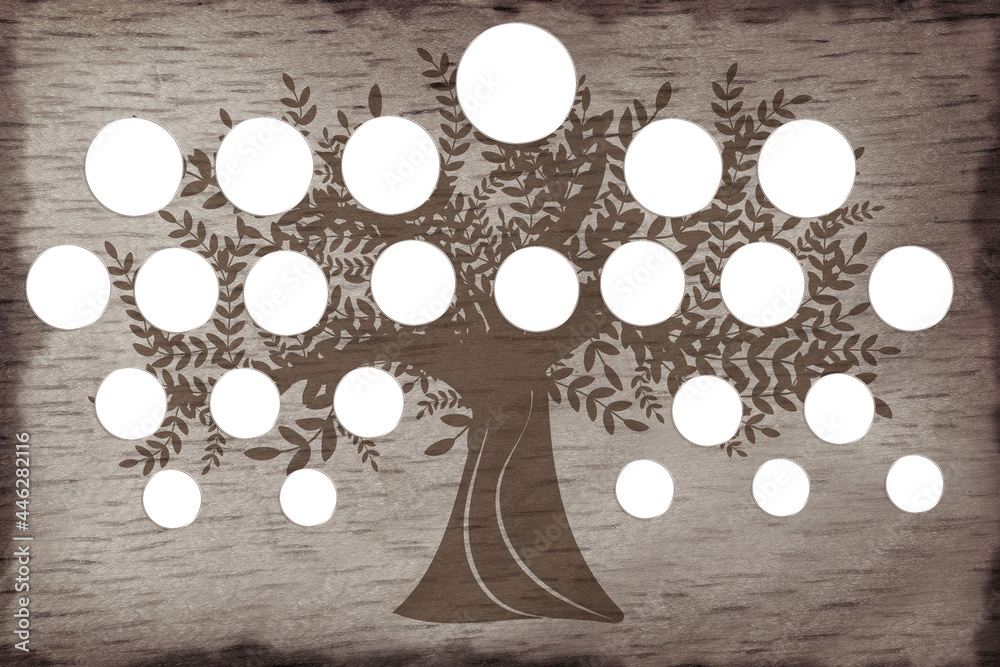 Family tree with empty frames for photos in vintage style, illustration ...