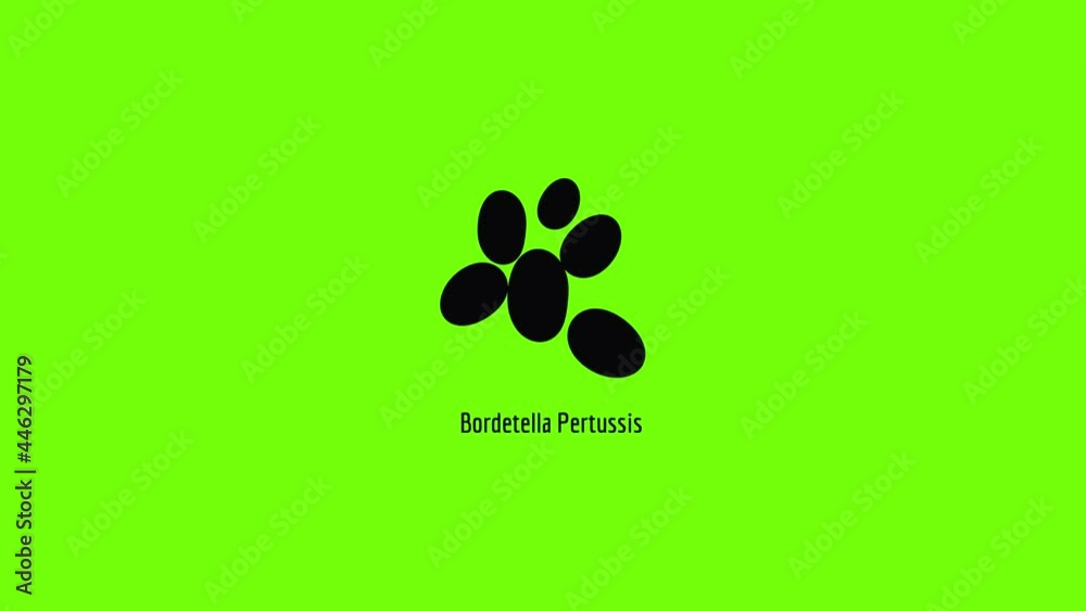 Bordetella pertussis icon animation Stock Video | Adobe Stock