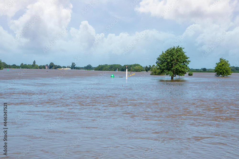 Flooded agricultural fields in the Netherlands with growing plants in ...