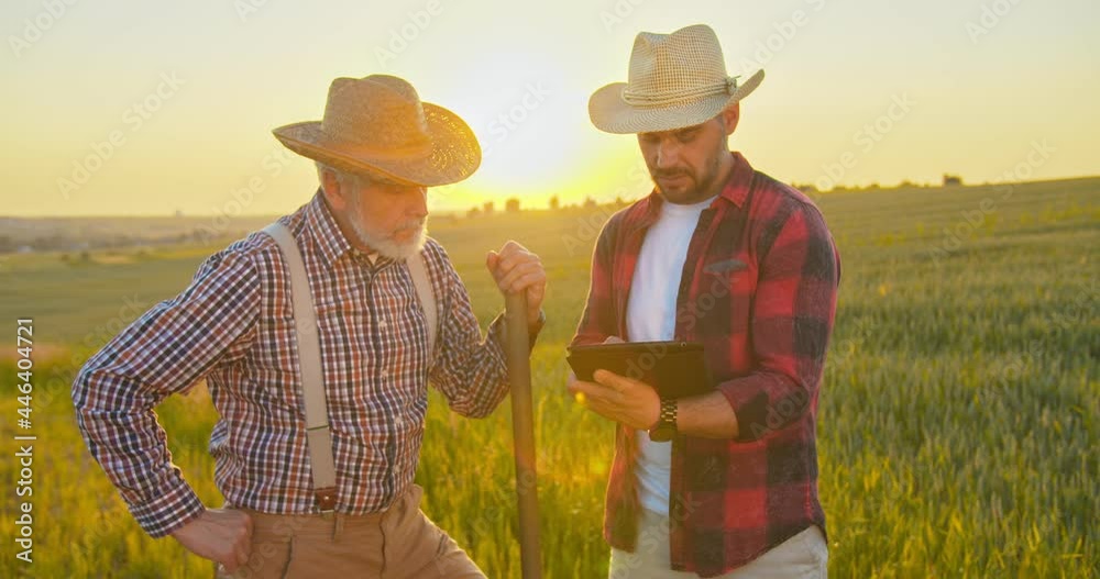 Agriculture technology of quality control. Two confident farmers ...