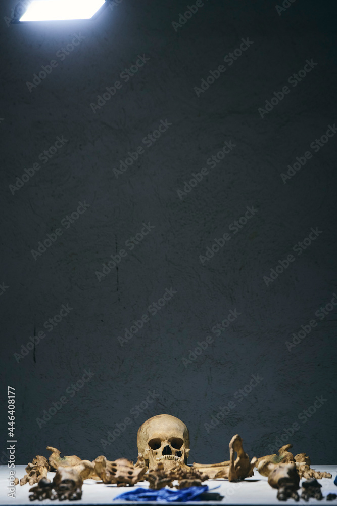 Human skeleton on a table after being unearthed in the Silo of ...