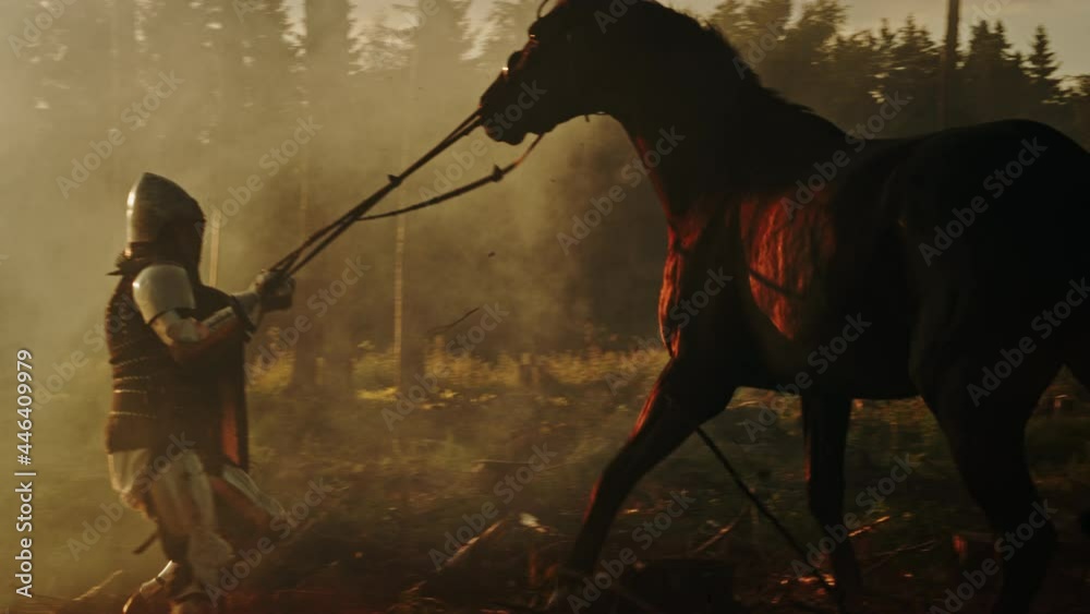 Video „Medieval Knight Warrior Leading His Horse into the Battle to ...
