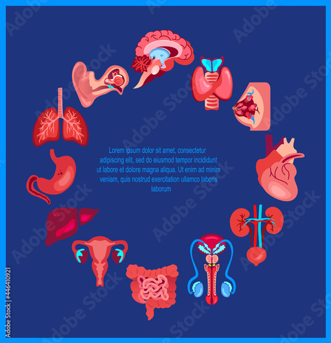 Bright Human Healthy Organs Set.Vector Illustration Icon Design ...