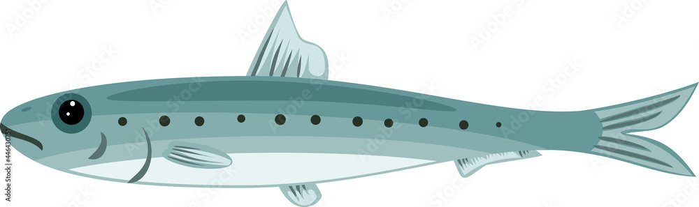 Cartoon sardine fish isolated on white background Stock Vector | Adobe ...