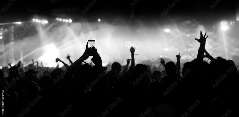 Concert Crowd From Stage Black And White
