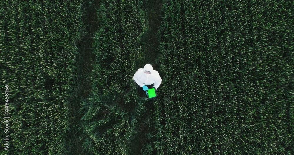 Top view of the scientists or farmer using digital tablet computer with ...
