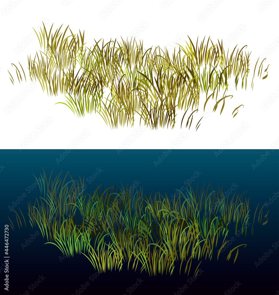 Grass isolated on white. Isometric view grass for landscapes. Realistic ...